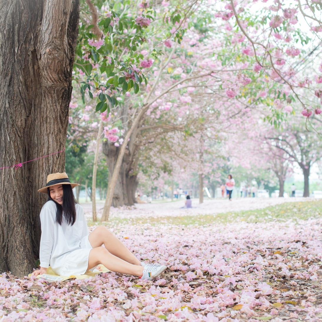 โพสต์ ของ PIM Pi |Lemon8