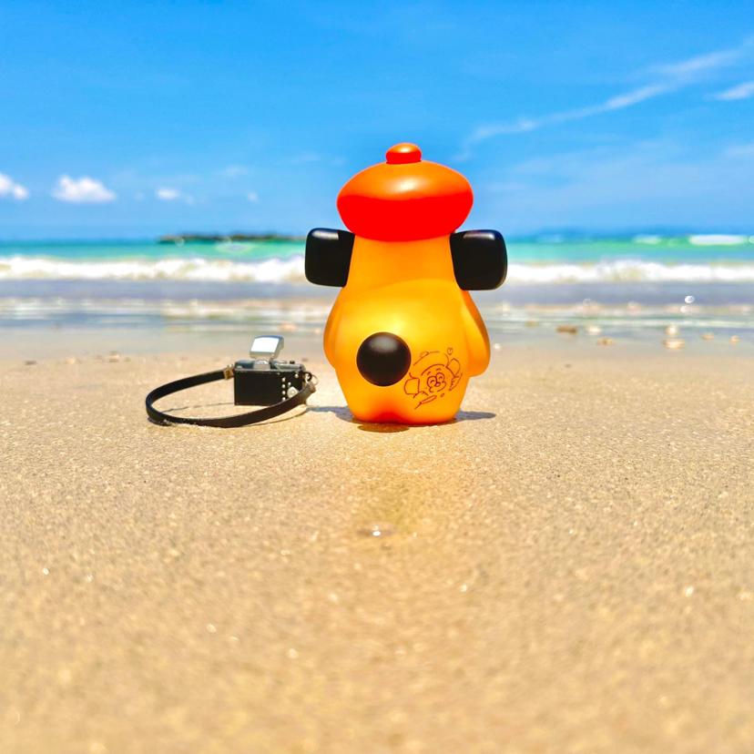 โพสต์ ของ เที่ยวกับToY|Lemon8