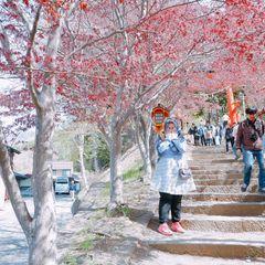 โพสต์ ของ Siroya Poonsin|Lemon8