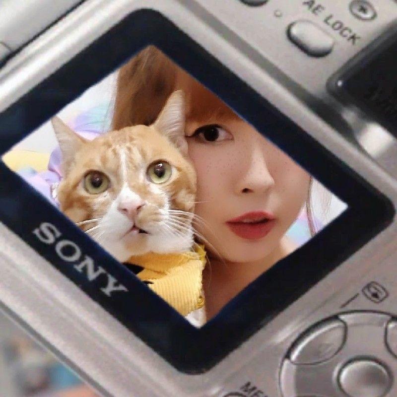 โพสต์ ของ cher ry 🍒|Lemon8