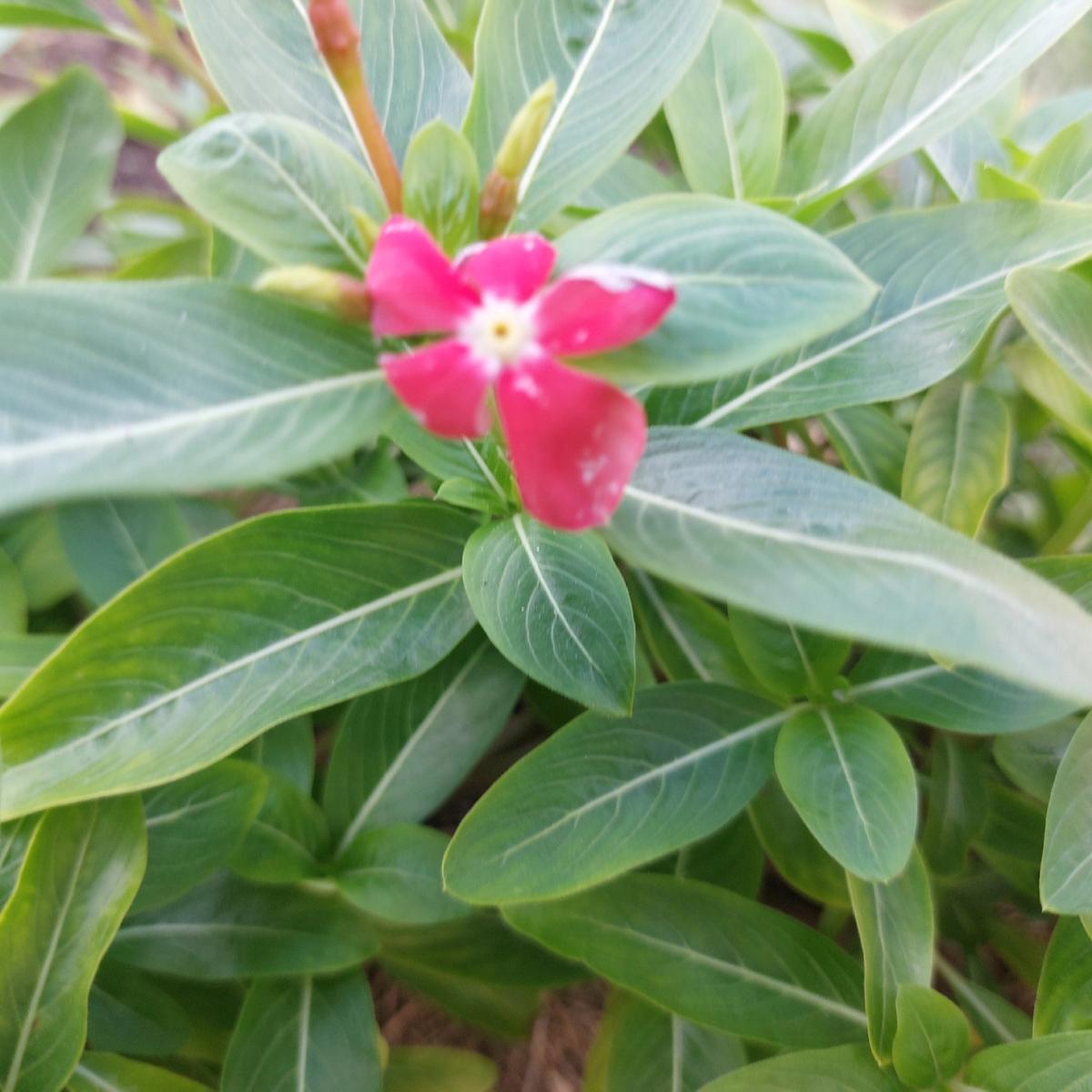 โพสต์ ของ BTS|Lemon8