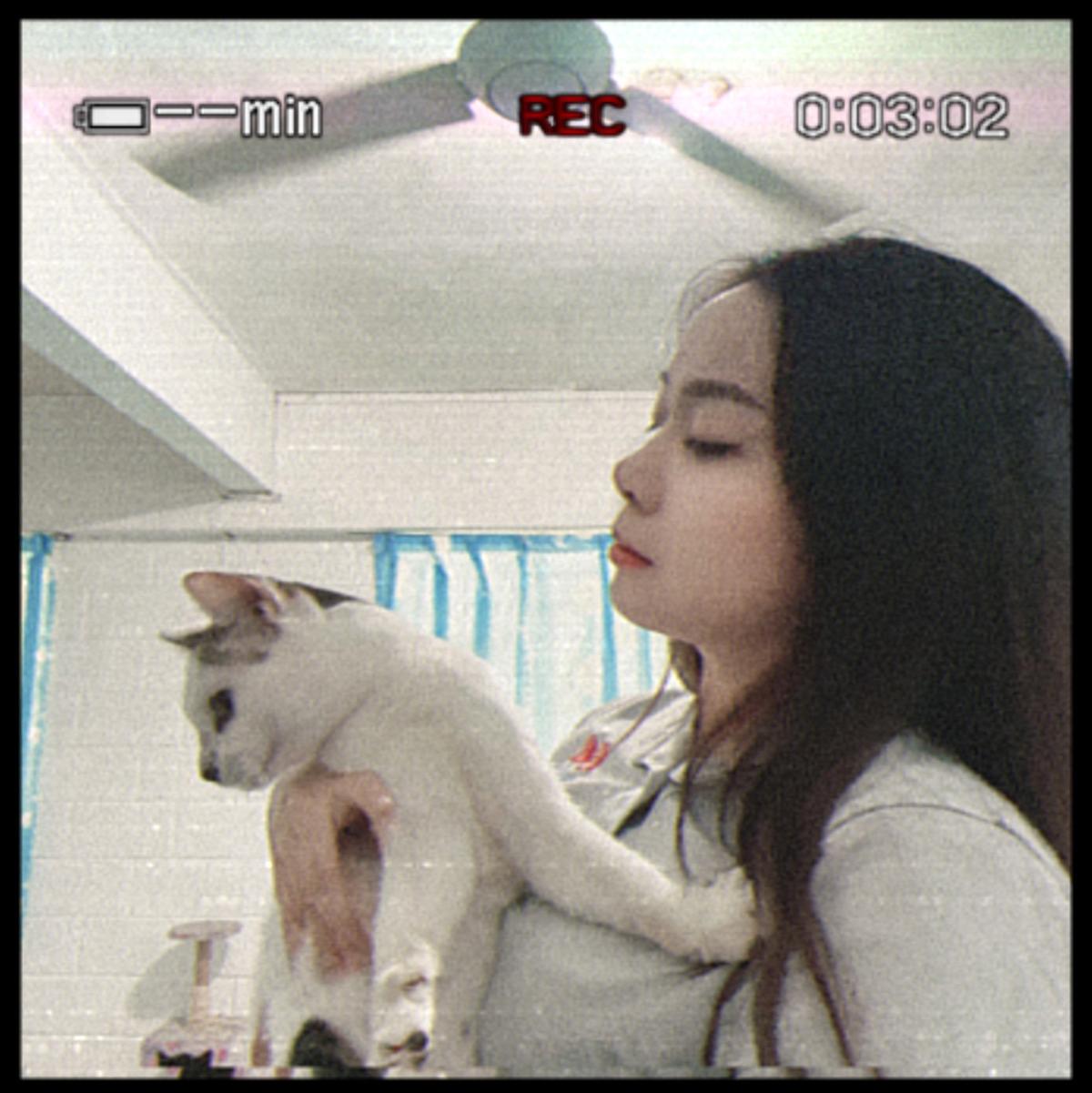 โพสต์ ของ Jue Danish|Lemon8