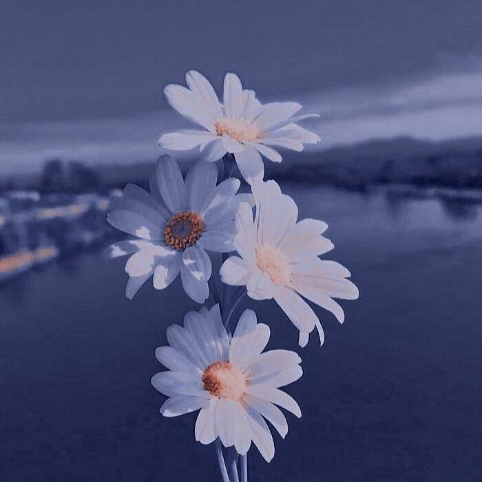 Posting Queen honey|Lemon8