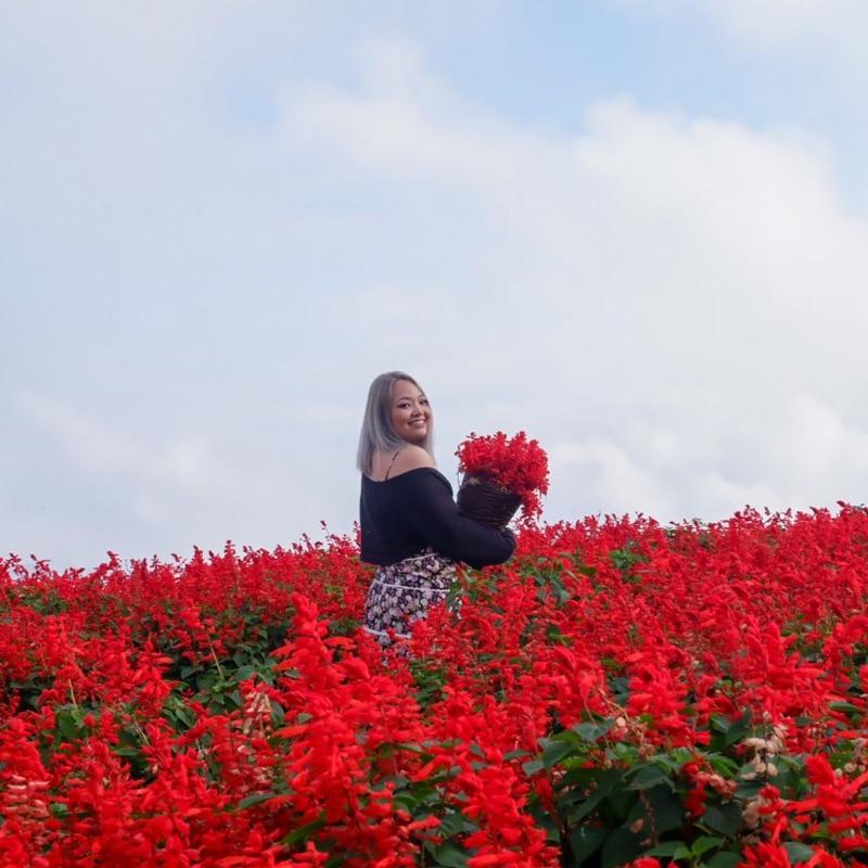 โพสต์ ของ Kate Wu|Lemon8