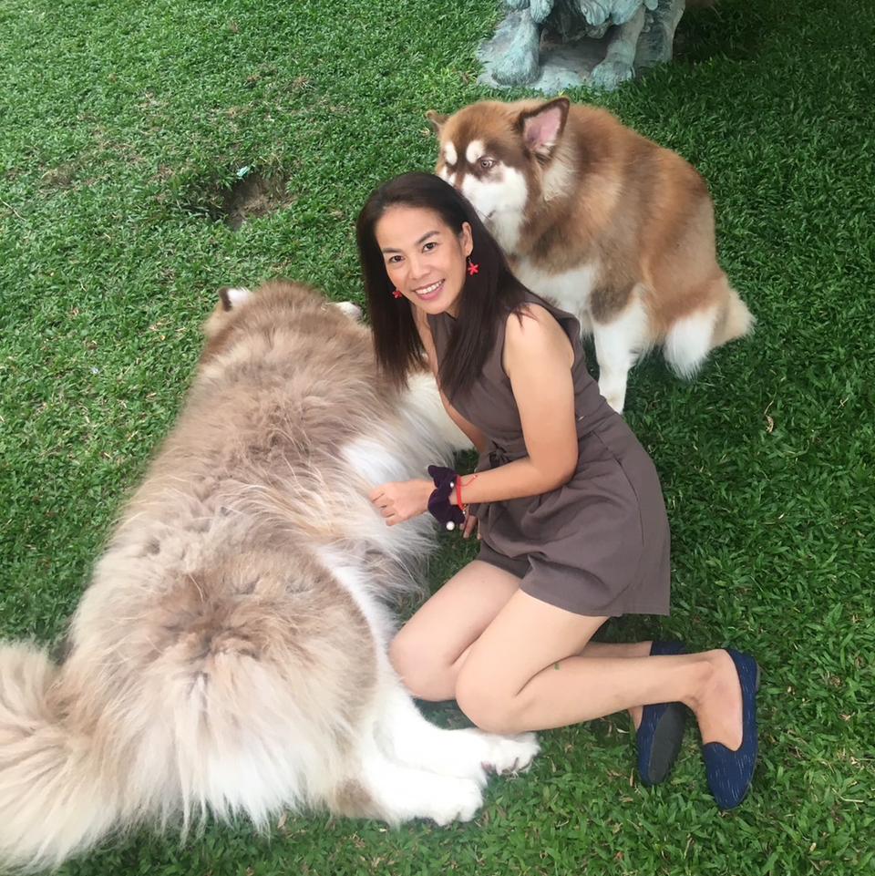 โพสต์ ของ Gee|Lemon8