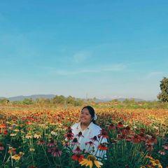 โพสต์ ของ Paveena Tubto|Lemon8