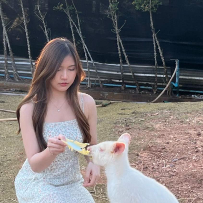 โพสต์ ของ Chompoo|Lemon8