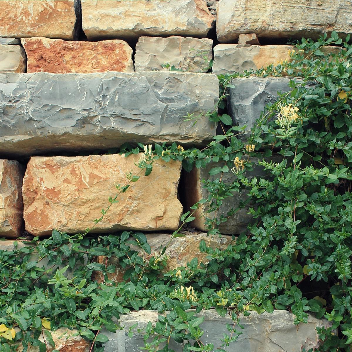 Siarkan Good Charlotte.|Lemon8