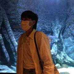 โพสต์ ของ Rain Wanitcha|Lemon8