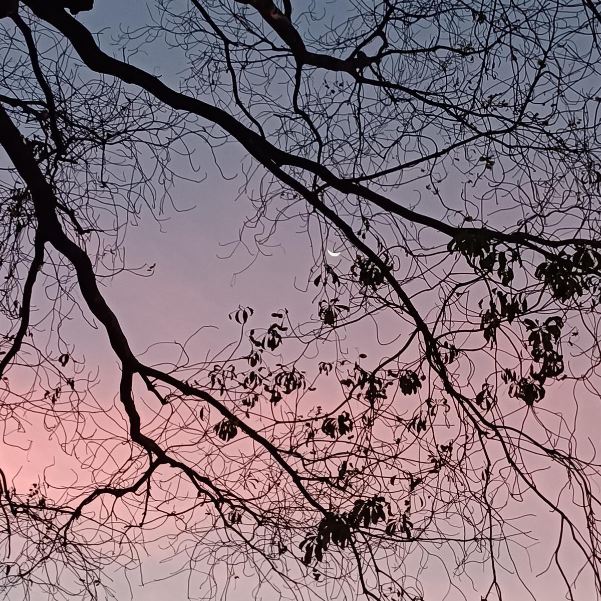 โพสต์ ของ ZerO|Lemon8