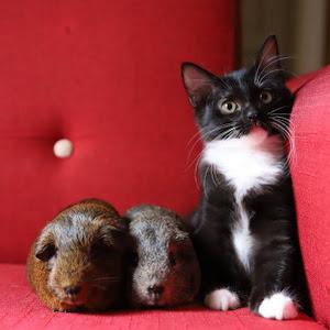 โพสต์ ของ ShiQin Yusop|Lemon8