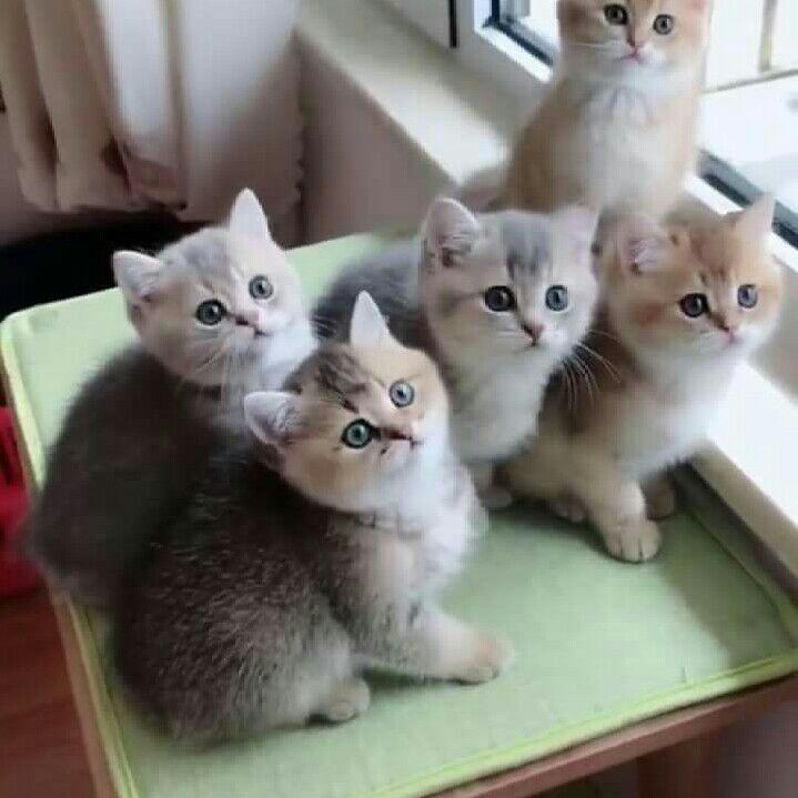 โพสต์ ของ Aonny Samatchay|Lemon8