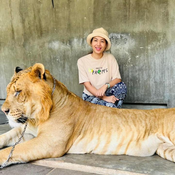 โพสต์ ของ Nan Kanlaya|Lemon8