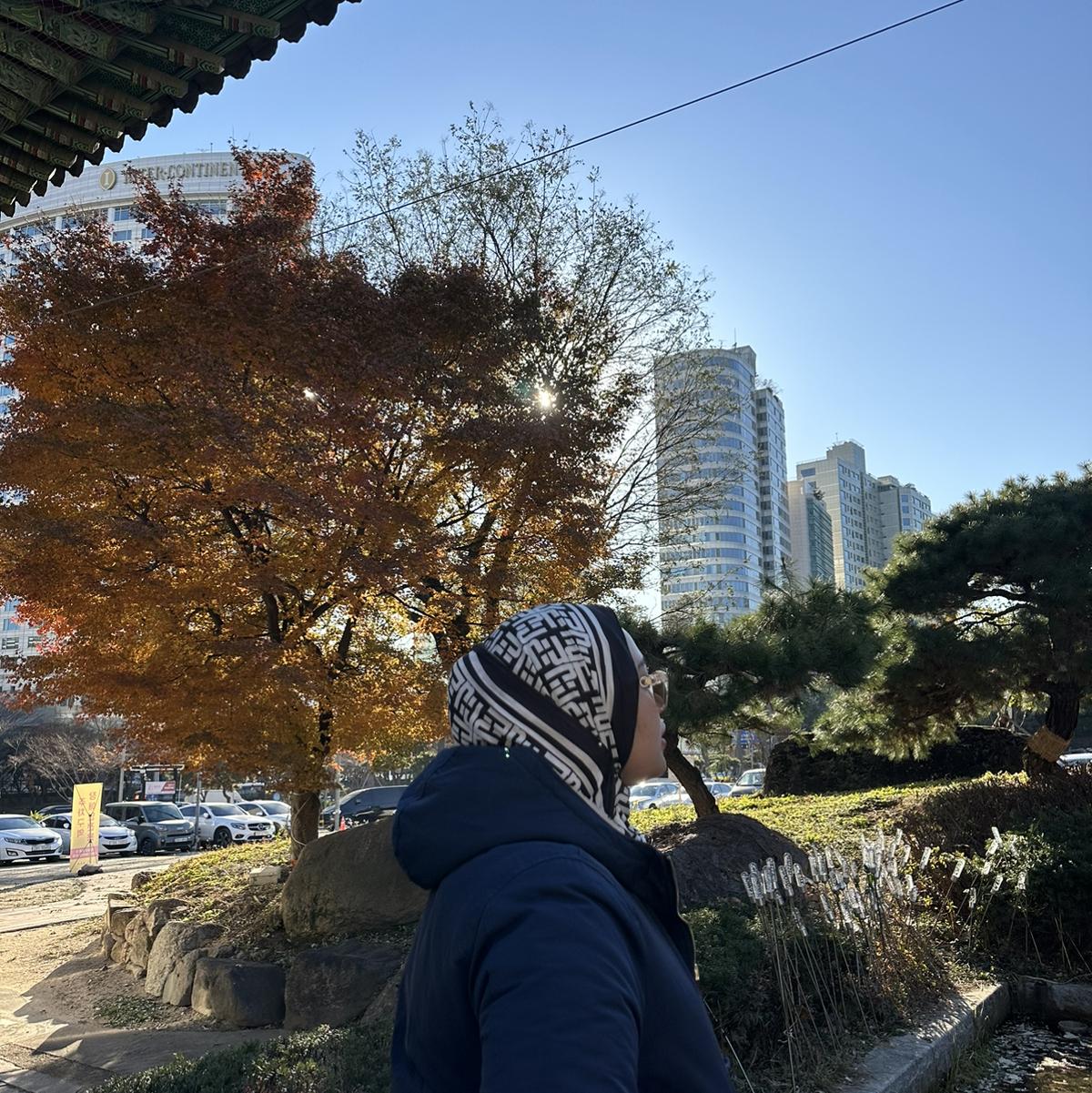 โพสต์ ของ Am_Aam|Lemon8