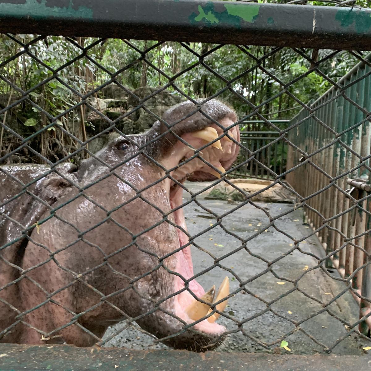 โพสต์ ของ XxbxX|Lemon8