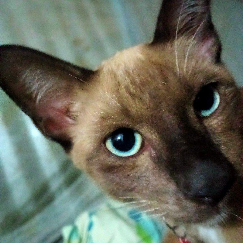 โพสต์ ของ ตุ๊กตา1565|Lemon8