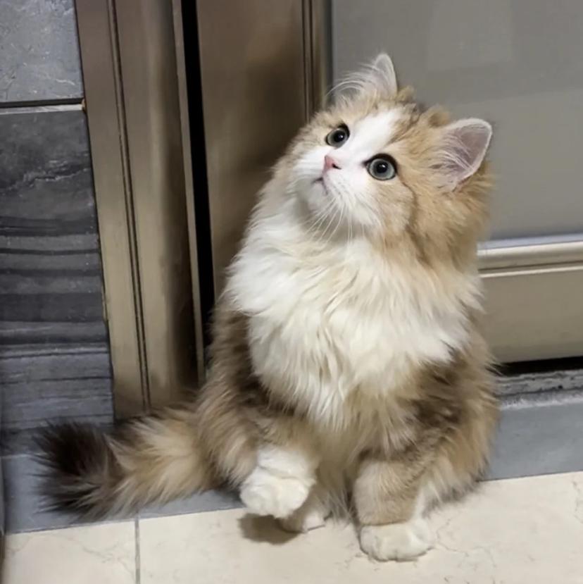 Posting Stella|Lemon8