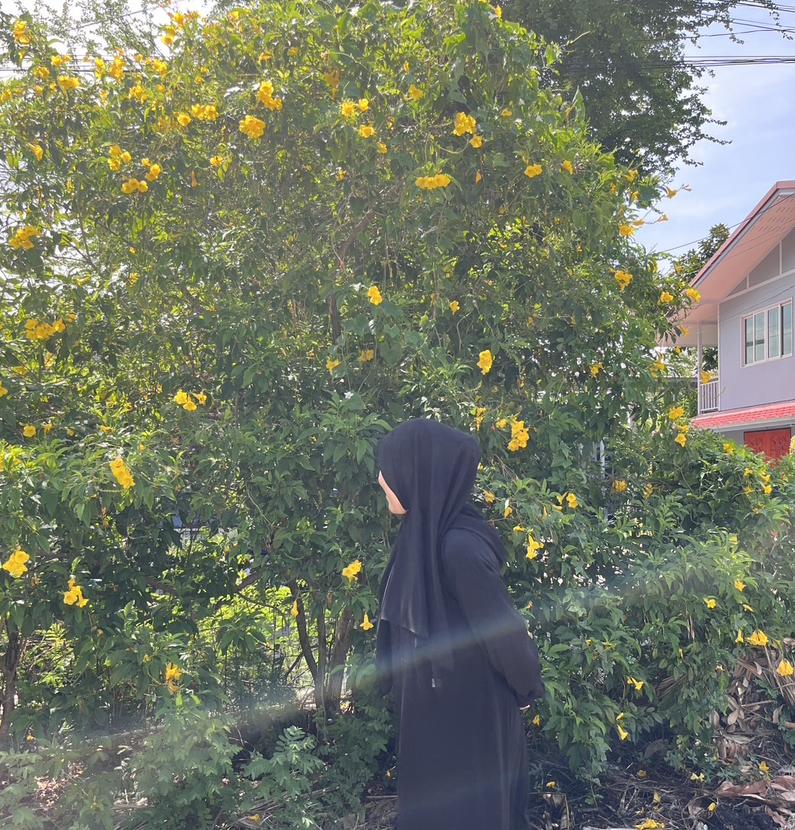 โพสต์ ของ Mars|Lemon8