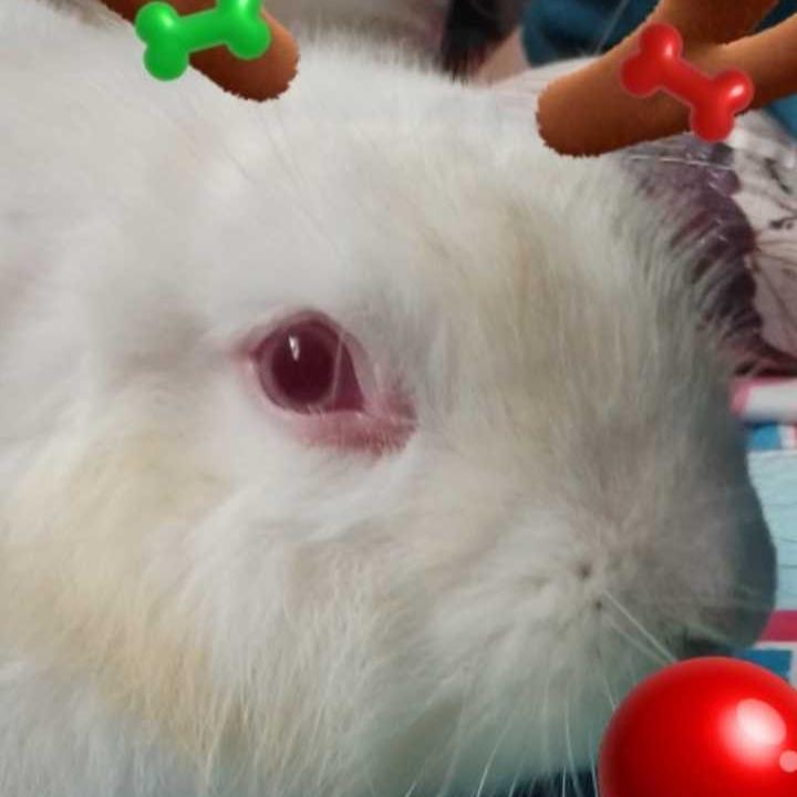 โพสต์ ของ cowww|Lemon8