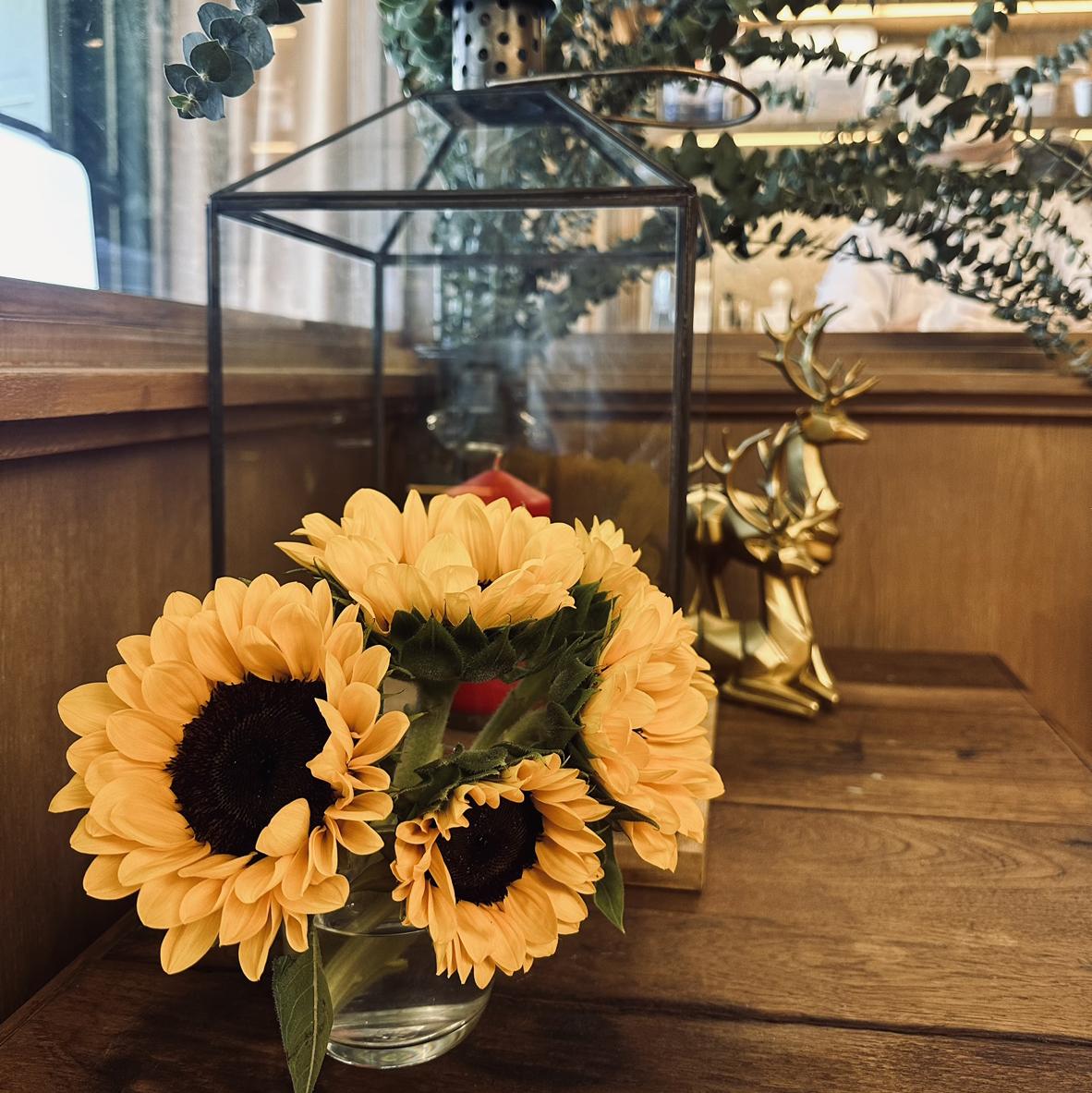 โพสต์ ของ Miew|Lemon8