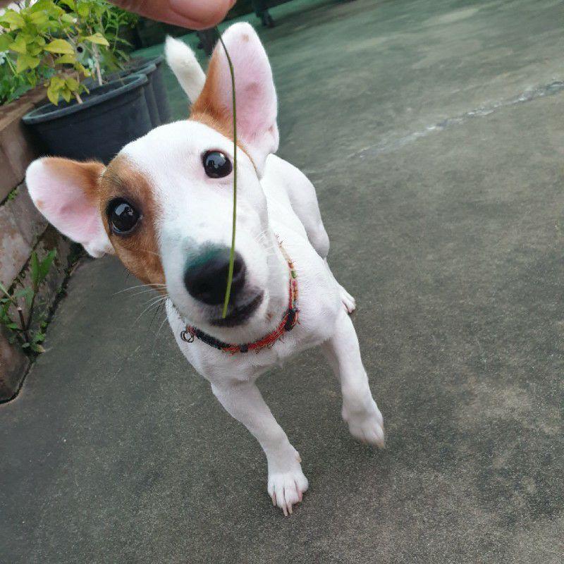 โพสต์ ของ memay|Lemon8