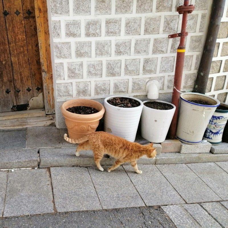 โพสต์ ของ nice|Lemon8