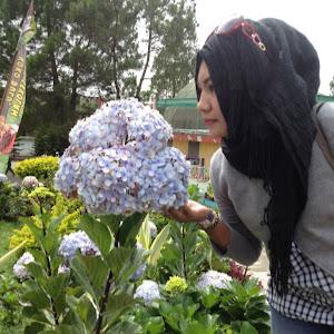 Posting cut fitri|Lemon8