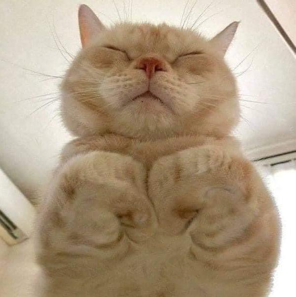 โพสต์ ของ PP.|Lemon8