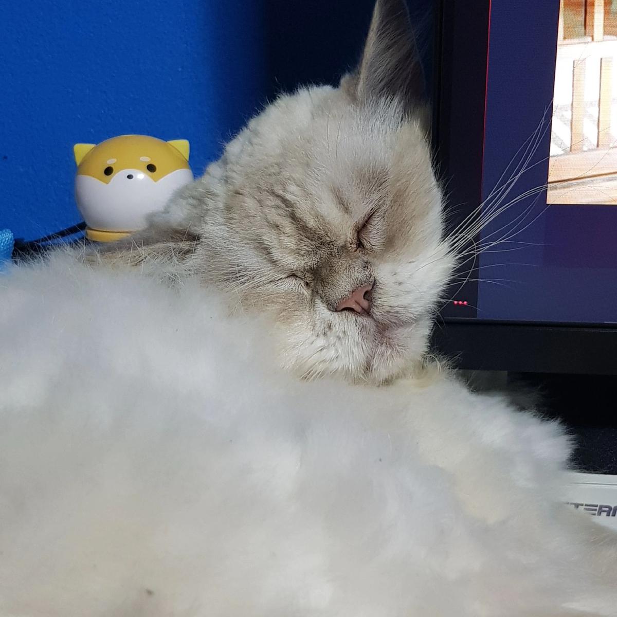 โพสต์ ของ FU|Lemon8