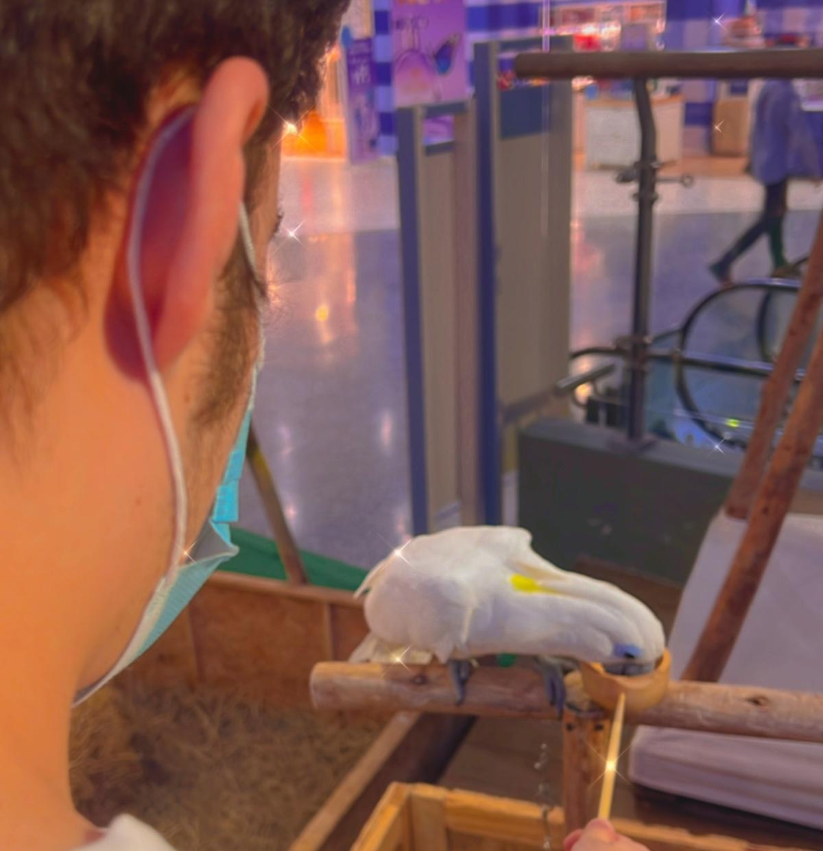 โพสต์ ของ AingAing|Lemon8