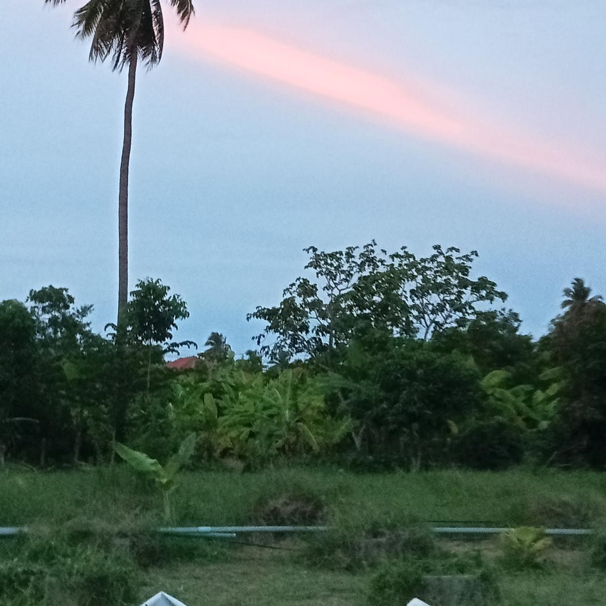 โพสต์ ของ moog|Lemon8