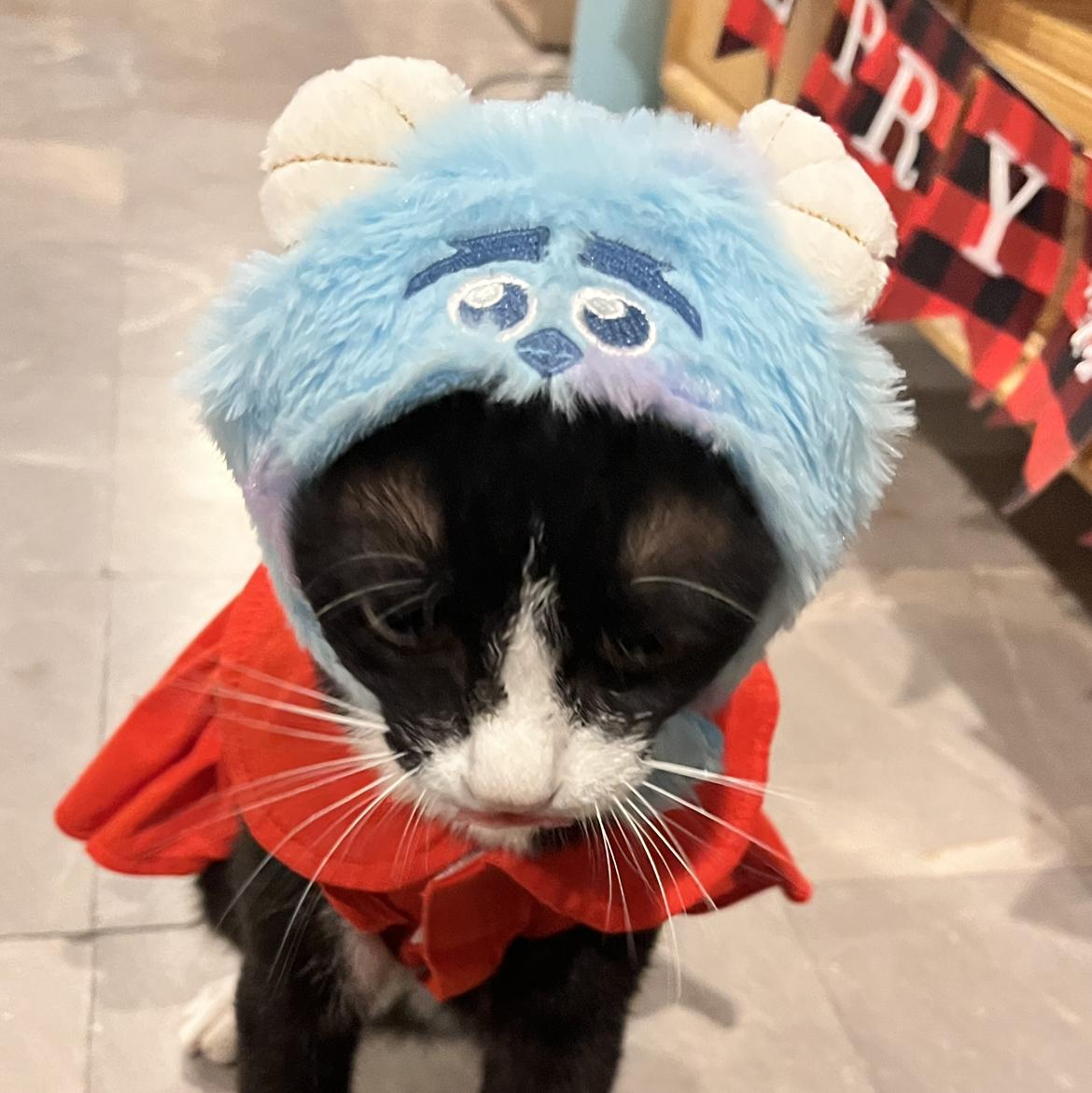 โพสต์ ของ Moon|Lemon8