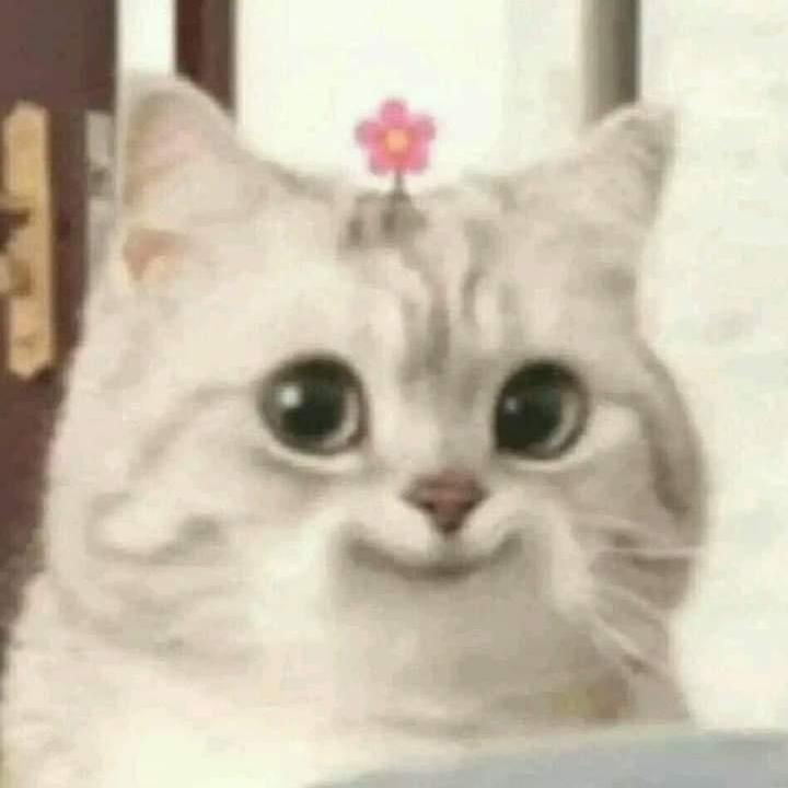 Posting yayaa|Lemon8