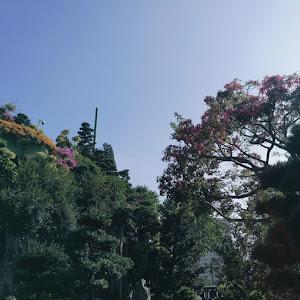 โพสต์ ของ Cream Wanlada|Lemon8