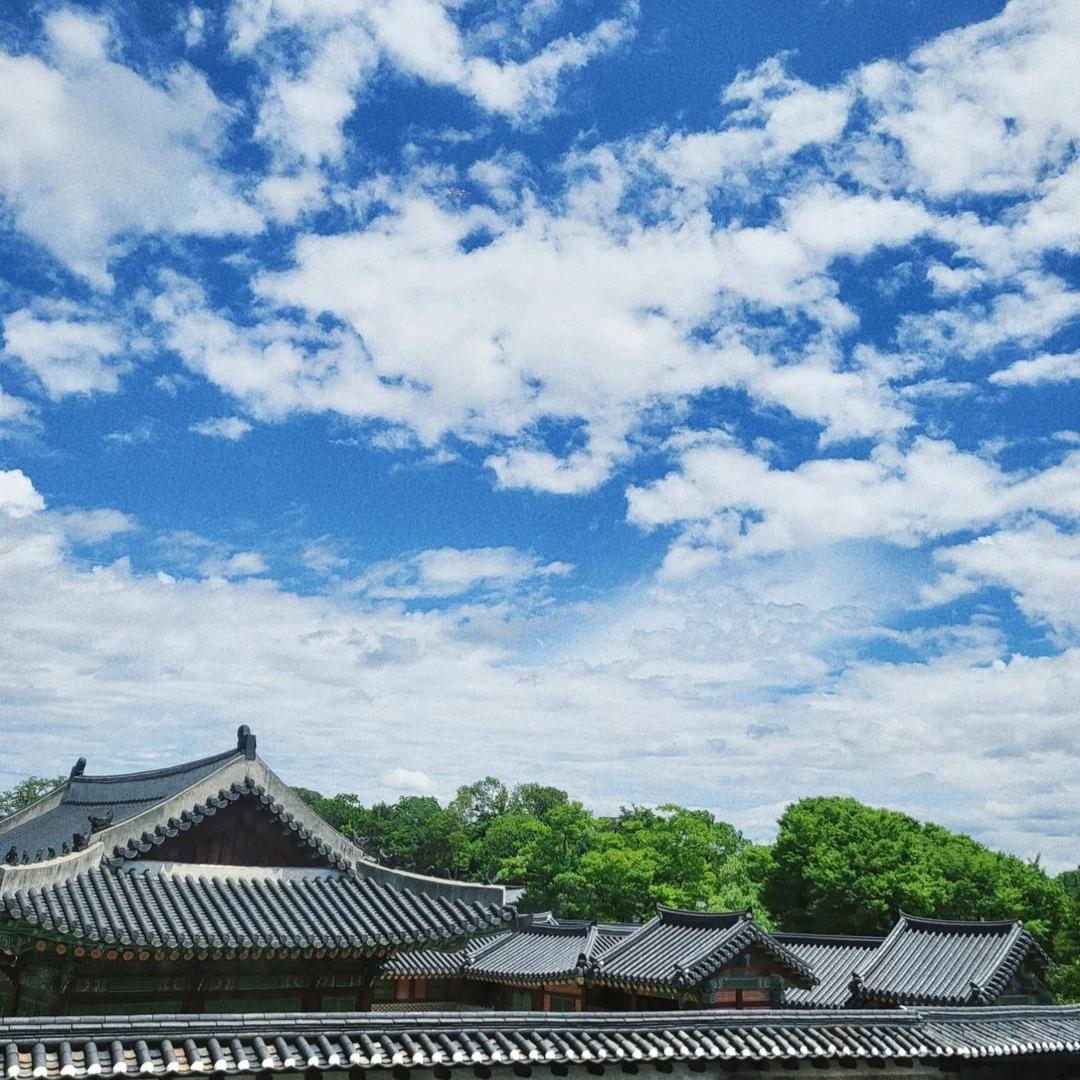 โพสต์ ของ Rj|Lemon8