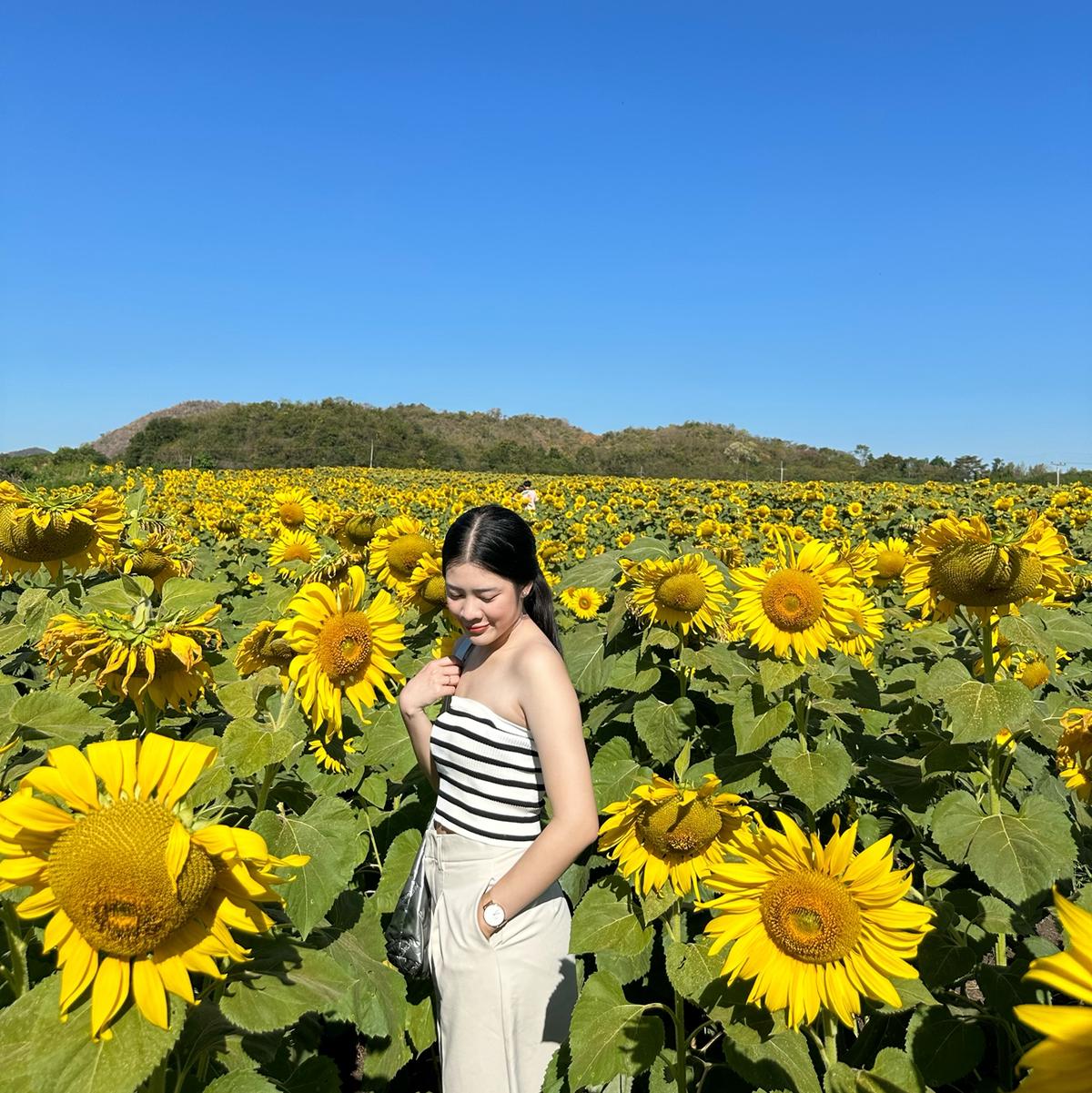 โพสต์ ของ ploywarin|Lemon8