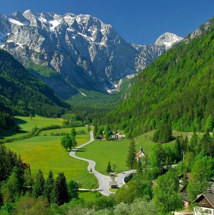 โพสต์ ของ Ff|Lemon8