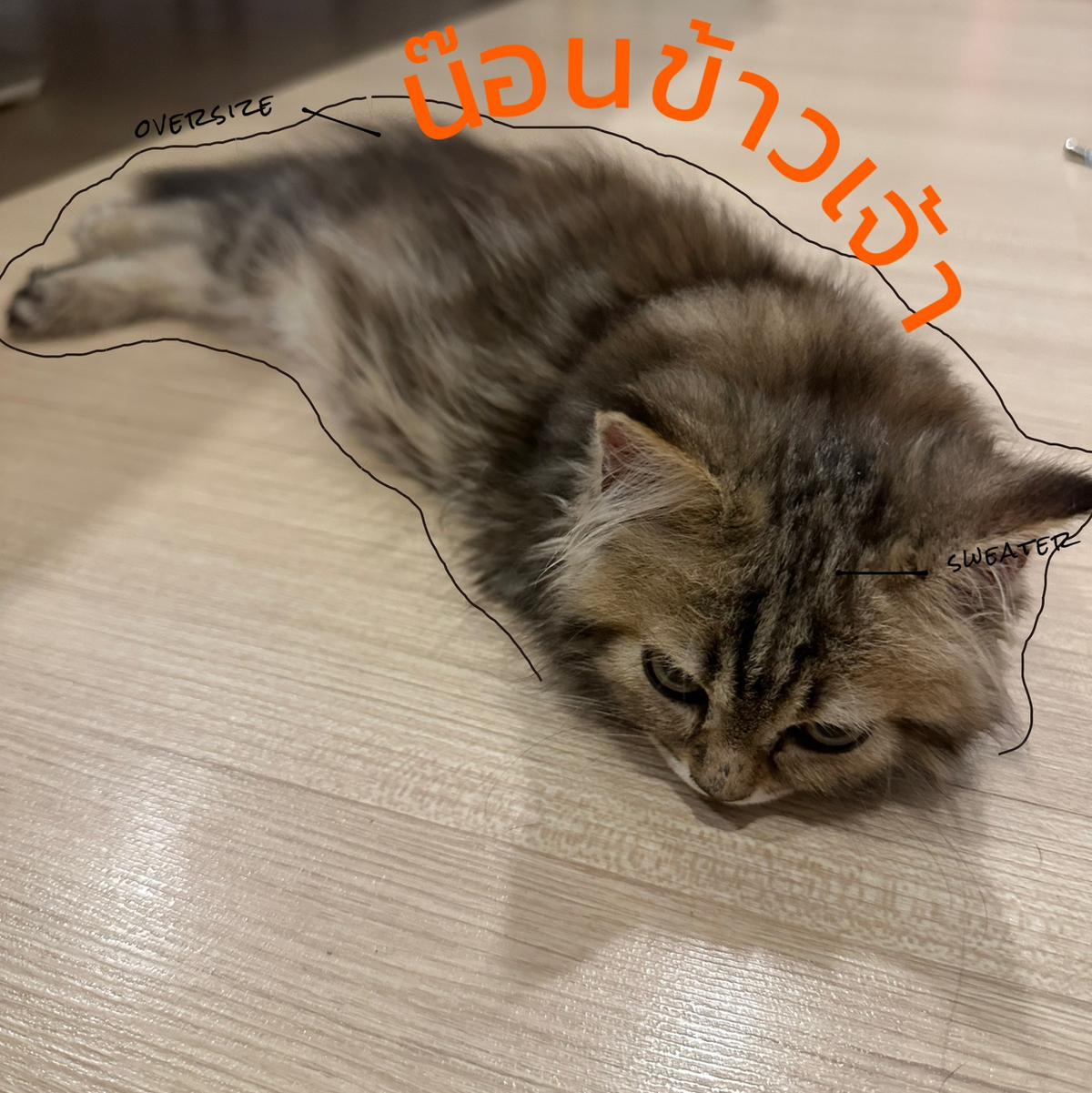 โพสต์ ของ Kikky Kirl|Lemon8