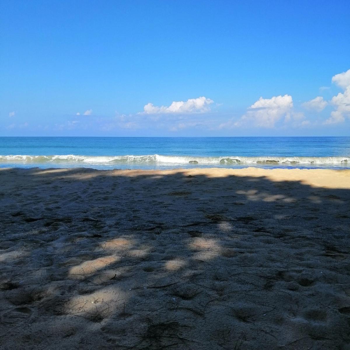 โพสต์ ของ Aida-Ailada|Lemon8