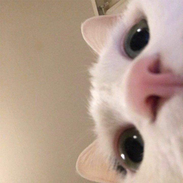 โพสต์ ของ peak.nattha|Lemon8