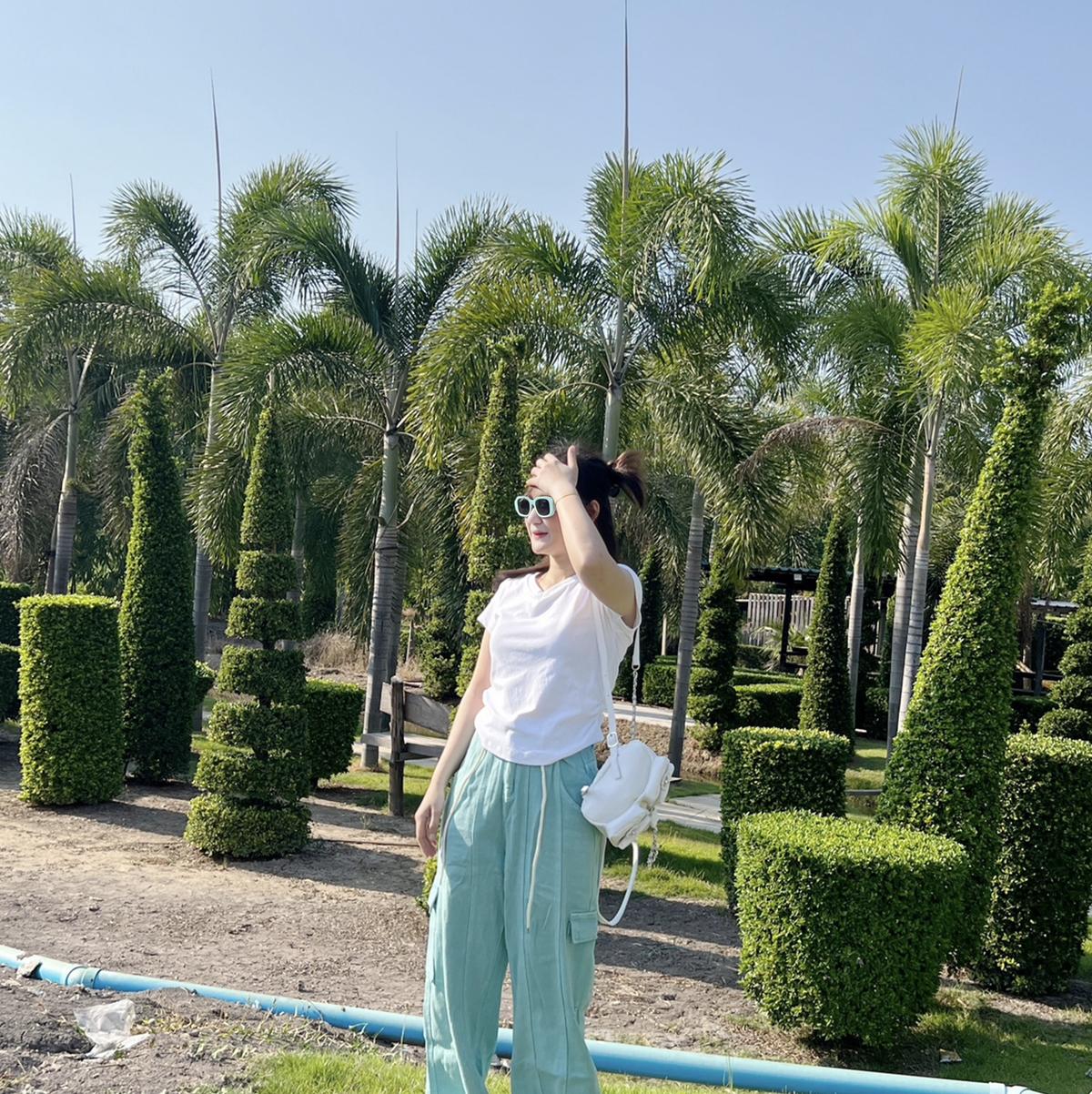 โพสต์ ของ Wareerat |Lemon8