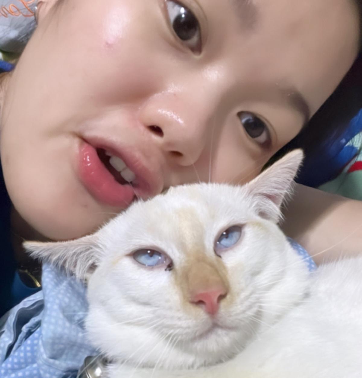 โพสต์ ของ SROY|Lemon8