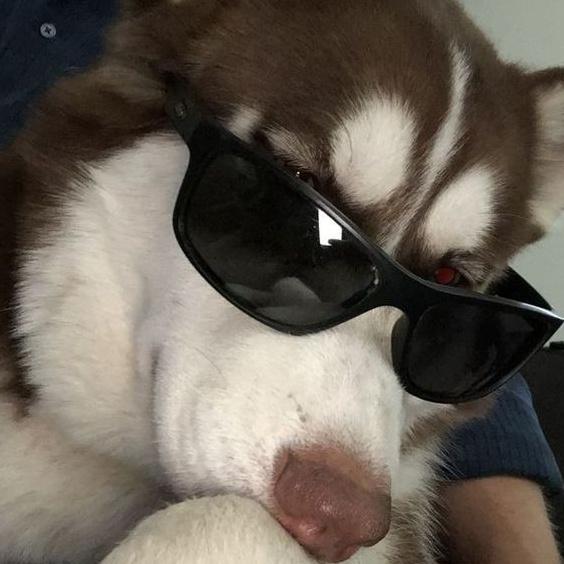 โพสต์ ของ M|Lemon8