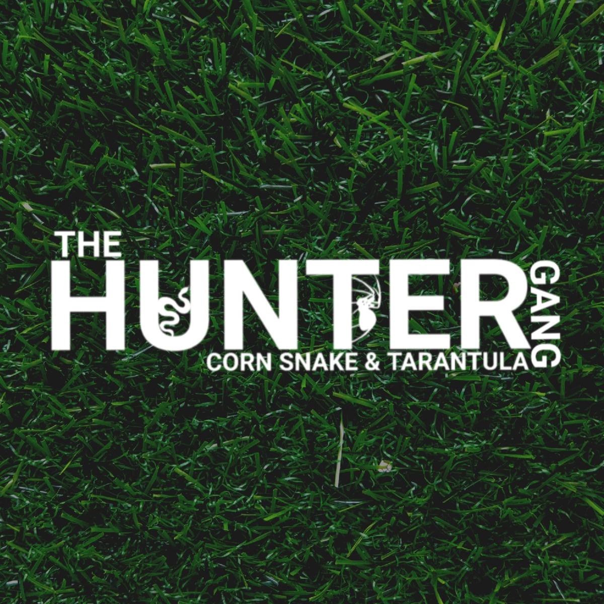 โพสต์ ของ The HUNTER GANG|Lemon8