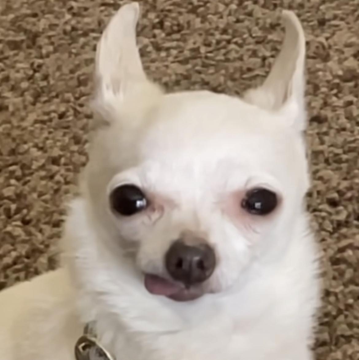 โพสต์ ของ namhom🧬|Lemon8