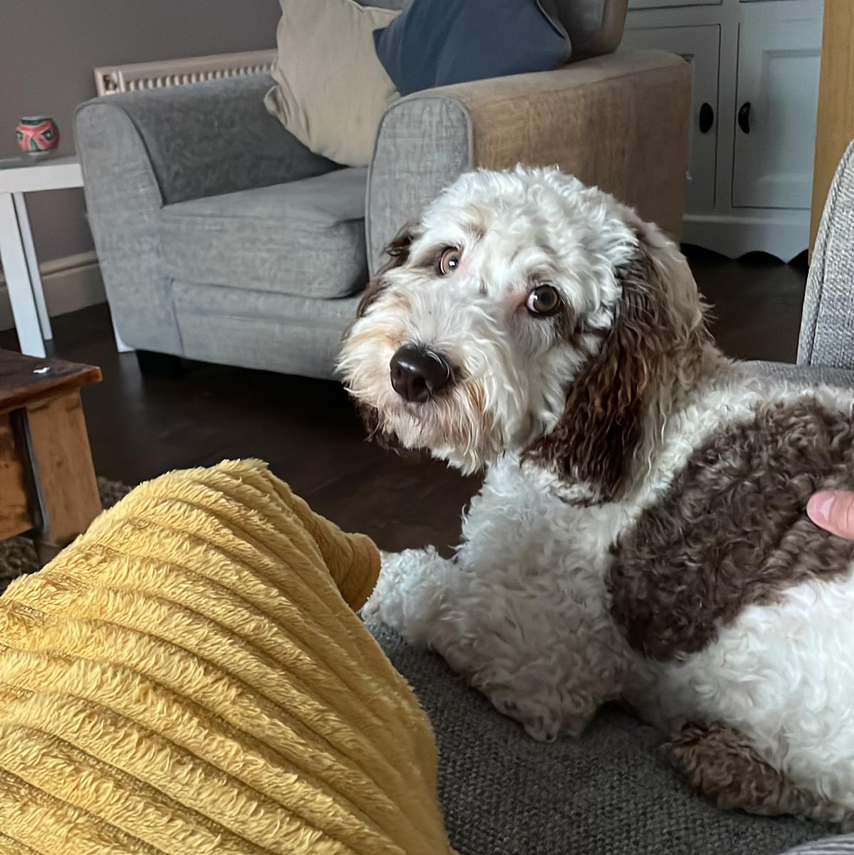 Philip Waters's Post|Lemon8