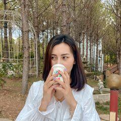 Sangdow Morkcha's Post|Lemon8