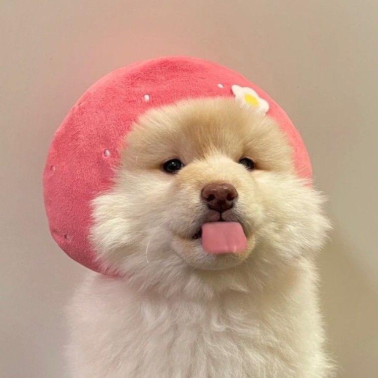 โพสต์ ของ I tim|Lemon8