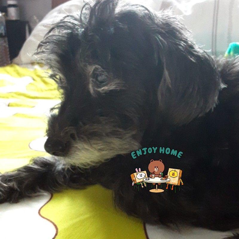 โพสต์ ของ ZEEK ZONE|Lemon8