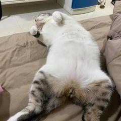 โพสต์ ของ Noo Lek|Lemon8